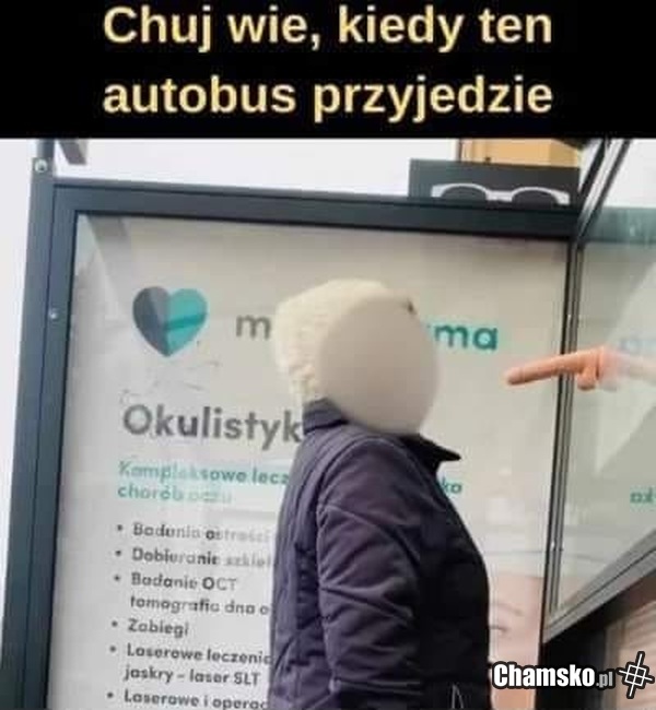 Kiedy przyjedzie autobus? - chamsko.pl