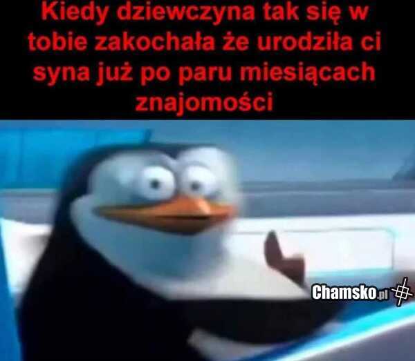 Chamskie obrazki, czarny humor