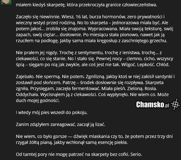 Ciekawa historia o skarpecie - chamsko.pl