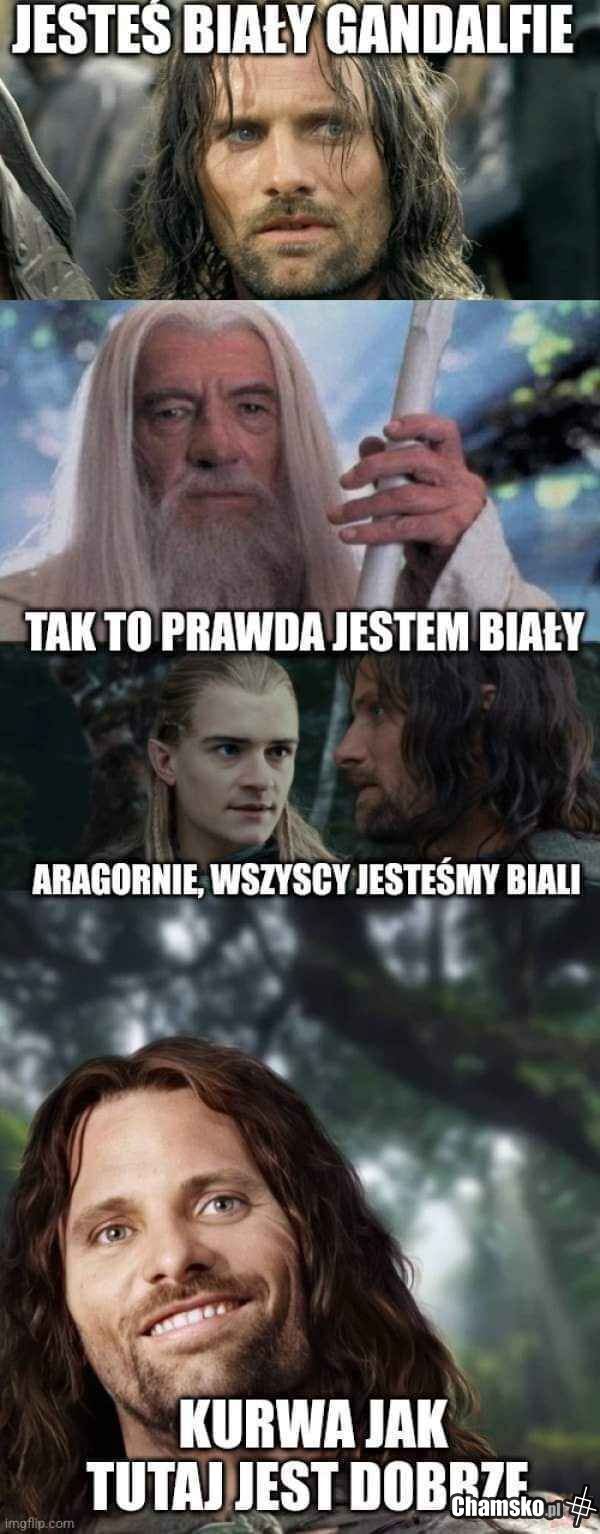 Władca pierścieni - chamsko.pl