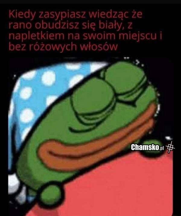 Zasypianie - chamsko.pl