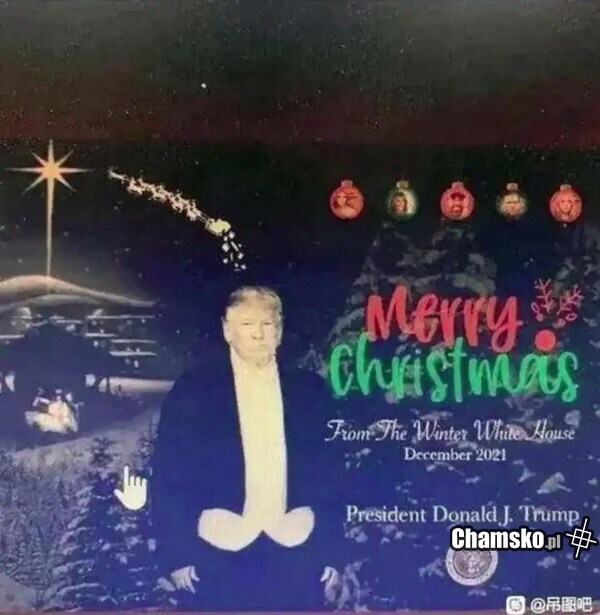 Przymruż oczy - chamsko.pl