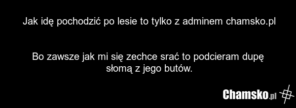 Admin chamsko.pl - chamsko.pl