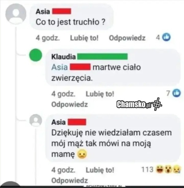 Chamskie obrazki, czarny humor
