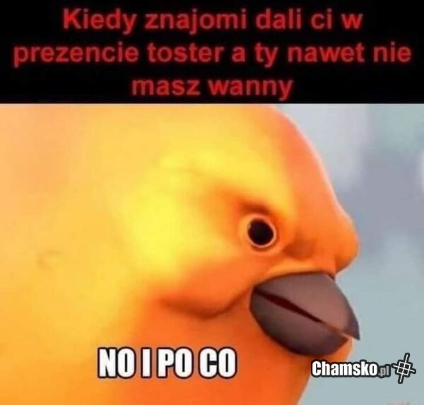 Chamskie obrazki, czarny humor