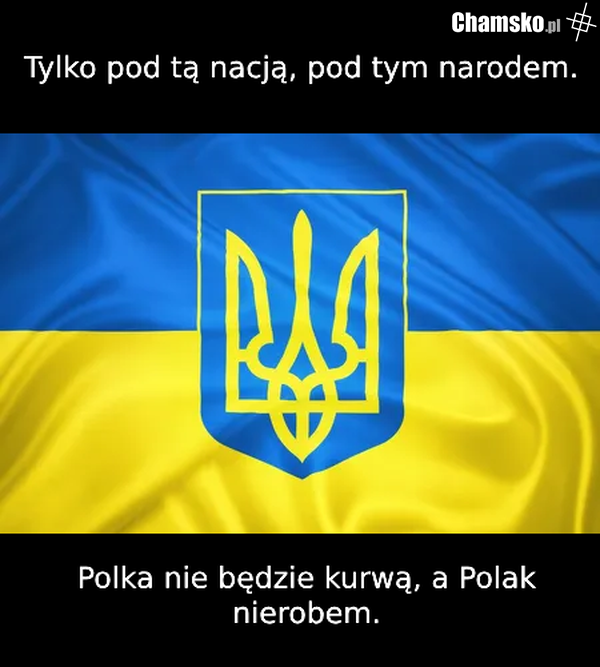 Chamskie obrazki, czarny humor